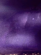 Phantovenator | Pillar Chase Wiki | Fandom