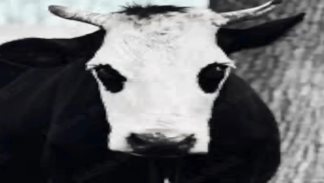 The Creature (try not to get scared) | Pillar Chase: Fanon Wiki | Fandom