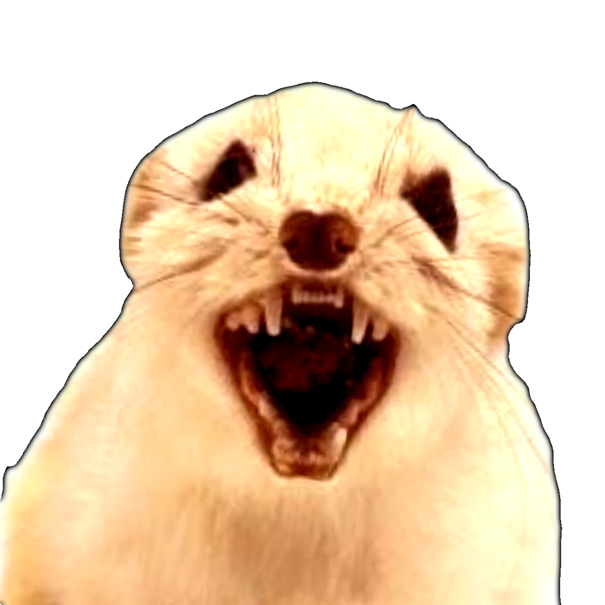 Evil Weasel | Pillar Chase: Fanon Wiki | Fandom