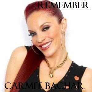 Remember | PCD Music Wiki | Fandom