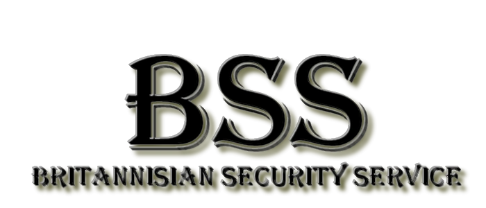 BSS | Wiki PCES | Fandom