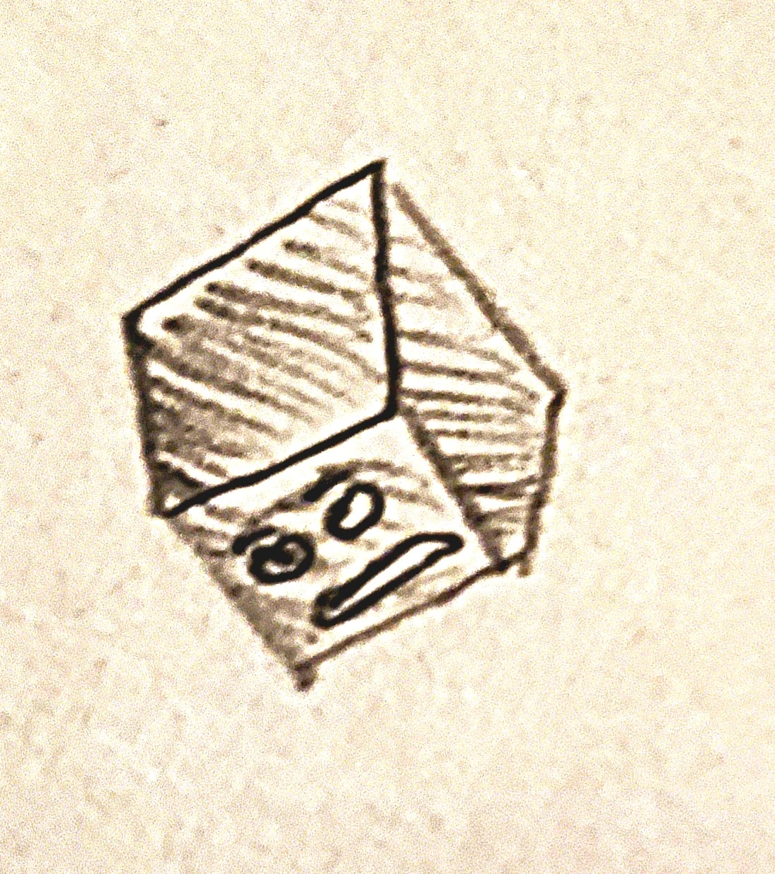 Sal | Paper Computer Games | Fandom