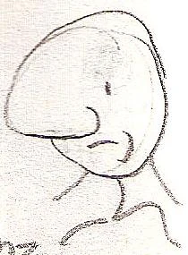 Snoz | Paper Computer Games | Fandom