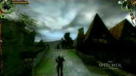 The Witcher 2 | PCgamecontrols Wiki | Fandom