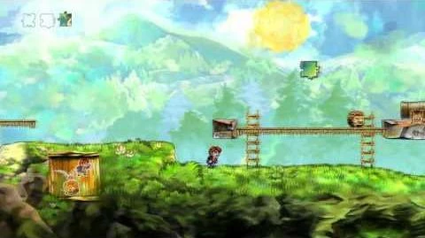 Braid | PCgamecontrols Wiki | Fandom