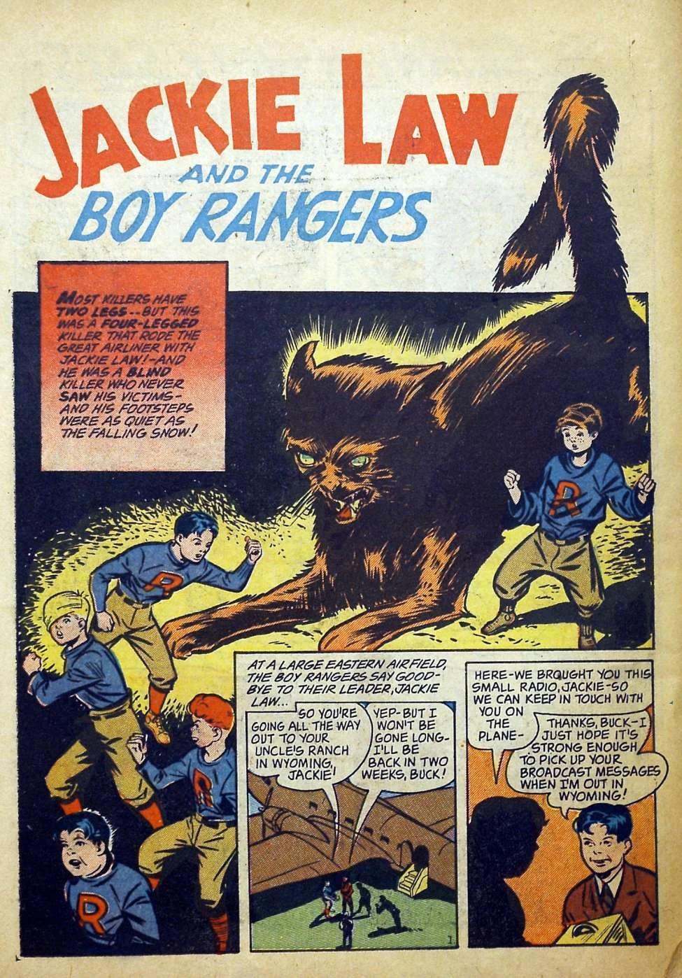 Boy Rangers | Public Domain Super Heroes | Fandom