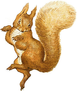 Squirrel Nutkin | Public Domain Super Heroes | Fandom