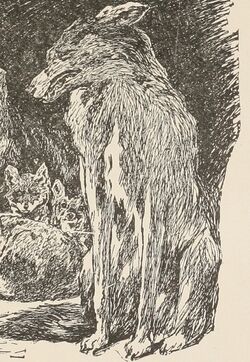 Father Wolf | Public Domain Super Heroes | Fandom