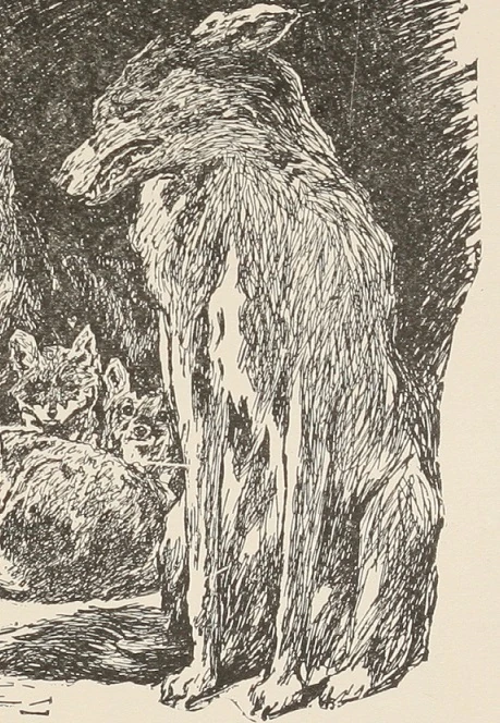 Father Wolf | Public Domain Super Heroes | Fandom