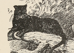 Bagheera | Public Domain Super Heroes | Fandom