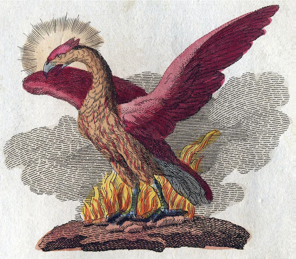 Phoenix (Myth) | Public Domain Super Heroes | Fandom
