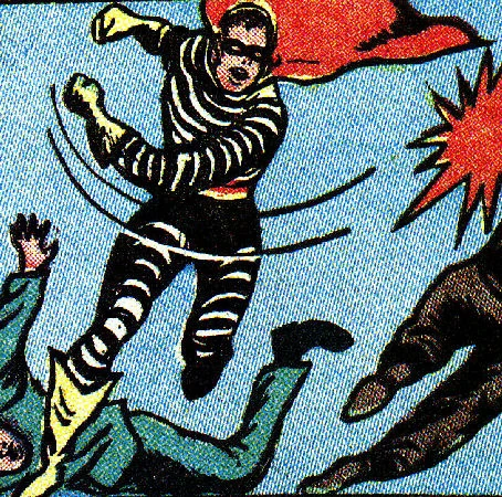 Zebra | Public Domain Super Heroes | Fandom