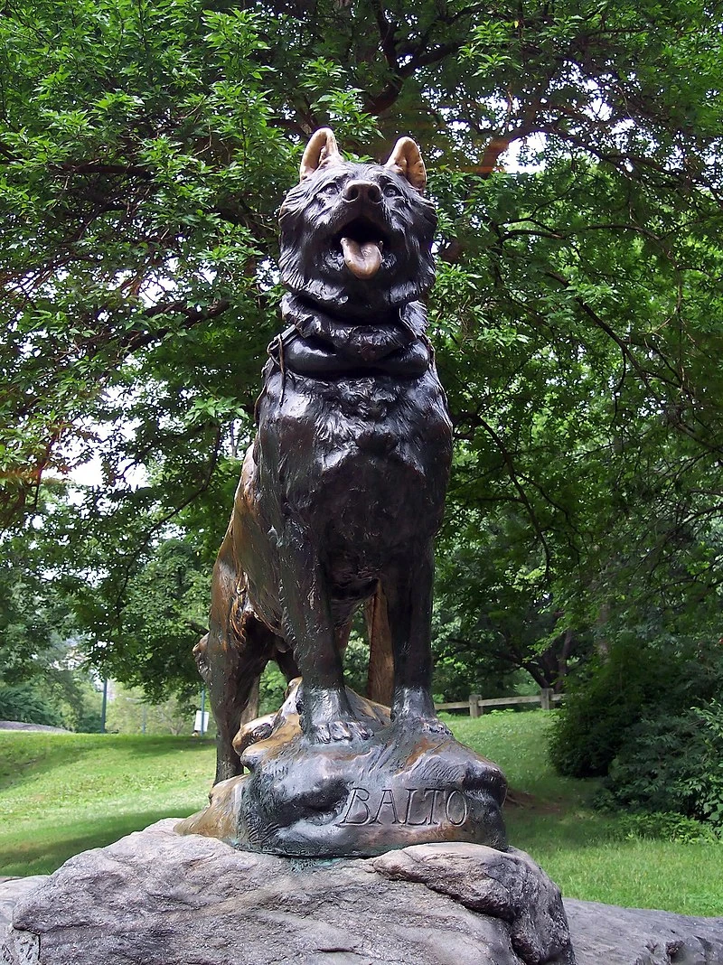 Balto | Public Domain Super Heroes | Fandom
