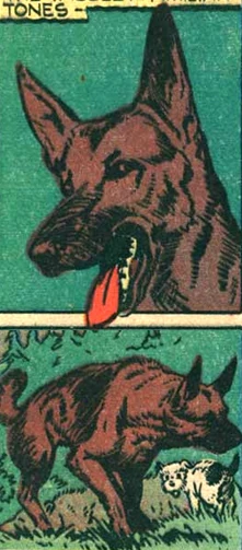 Wonder Dog | Public Domain Super Heroes | Fandom