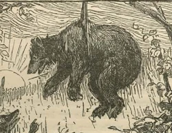 Brer Bear | Public Domain Super Heroes | Fandom