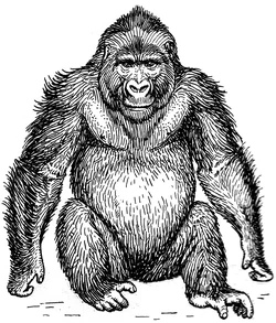 Kerchak | Public Domain Super Heroes | Fandom