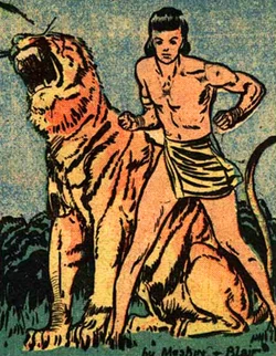 Ty-Gor | Public Domain Super Heroes | Fandom