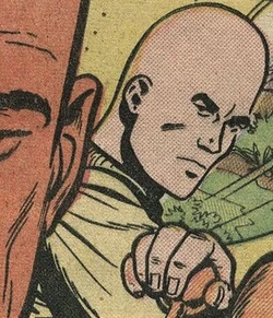 Dan Loomis | Public Domain Super Heroes | Fandom