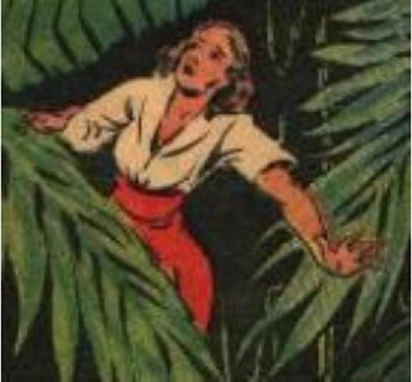 Ann Mason | Public Domain Super Heroes | Fandom