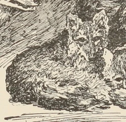 Grey Brother | Public Domain Super Heroes | Fandom