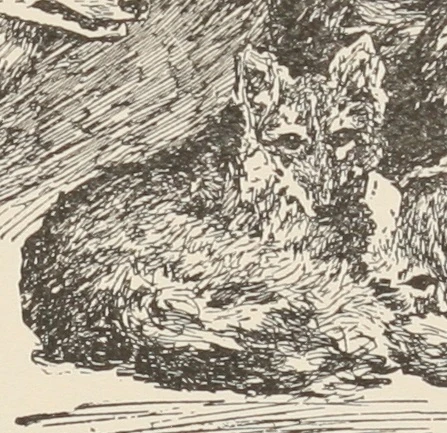 Grey Brother | Public Domain Super Heroes | Fandom