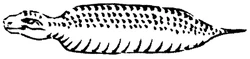 Tsuchinoko | Public Domain Super Heroes | Fandom