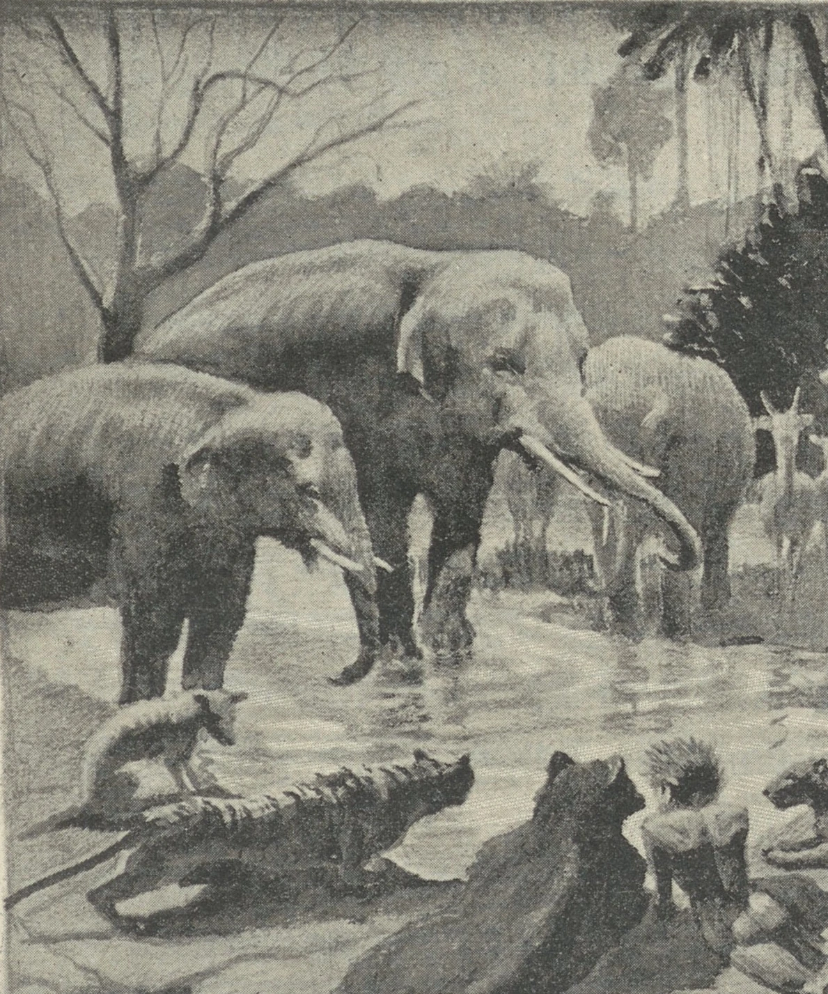 Hathi | Public Domain Super Heroes | Fandom