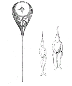 Homunculus | Public Domain Super Heroes | Fandom