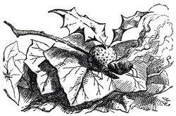 Snap-Dragonfly | Public Domain Super Heroes | Fandom