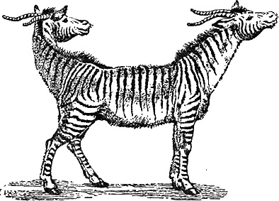 Pushmi-Pullyu | Public Domain Super Heroes | Fandom