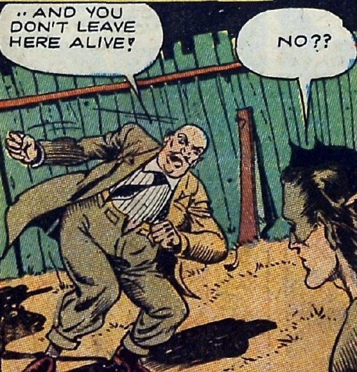 Hogin | Public Domain Super Heroes | Fandom