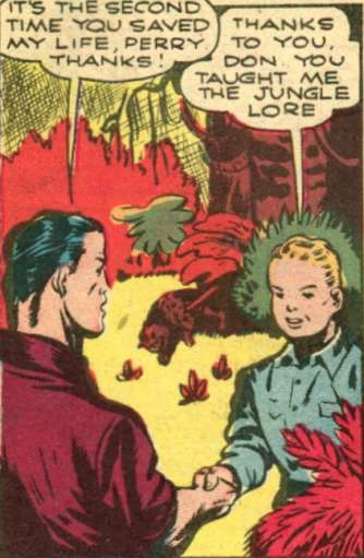 Perry Allen | Public Domain Super Heroes | Fandom