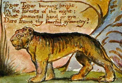 Tyger | Public Domain Super Heroes | Fandom