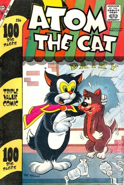 Atom the Cat | Public Domain Super Heroes | Fandom
