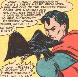 Raven (Fox) | Public Domain Super Heroes | Fandom