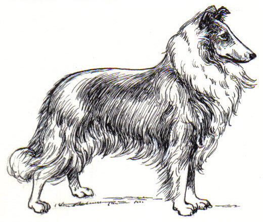 Lassie | Public Domain Super Heroes | Fandom