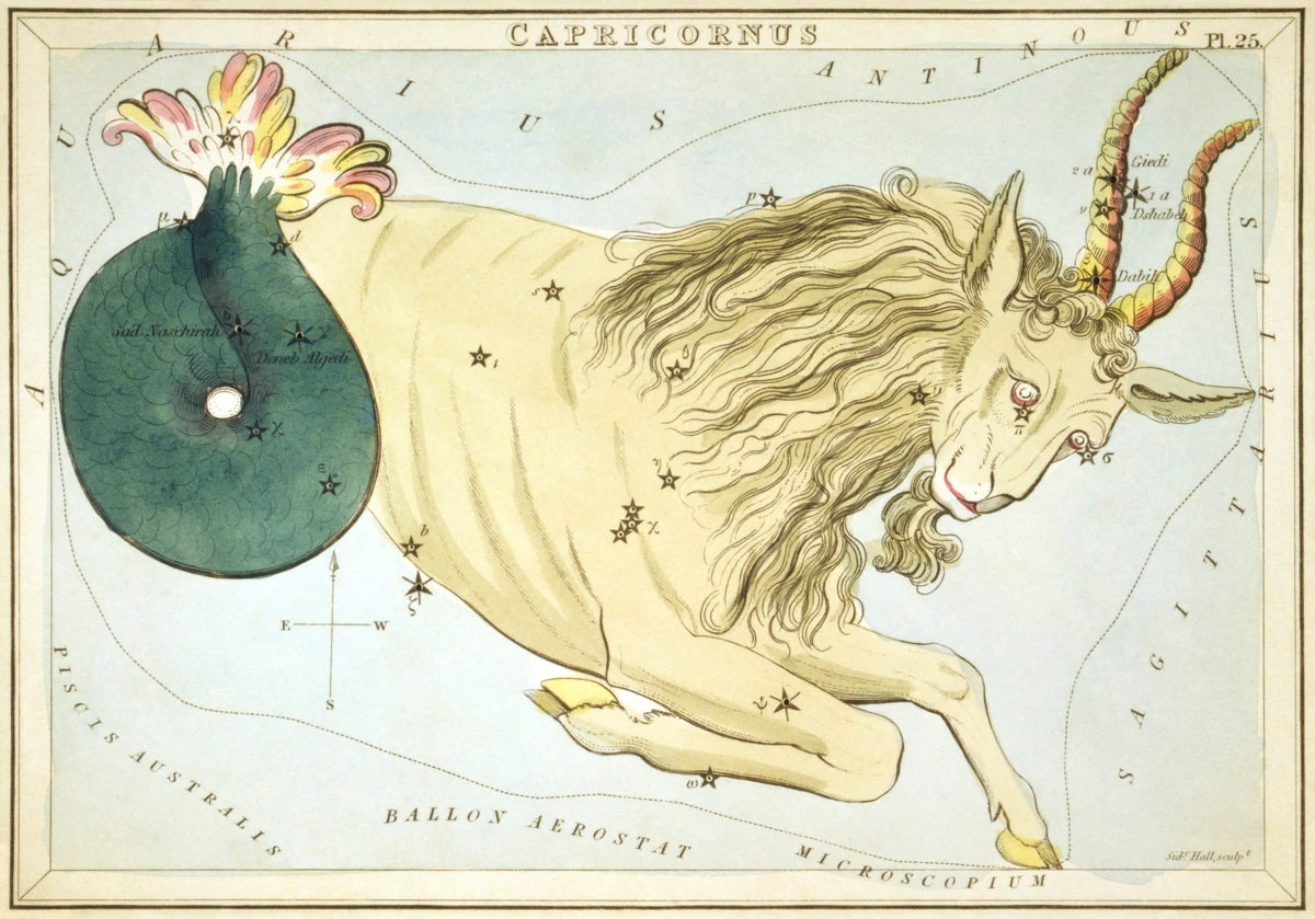 Capricorn | Public Domain Super Heroes | Fandom