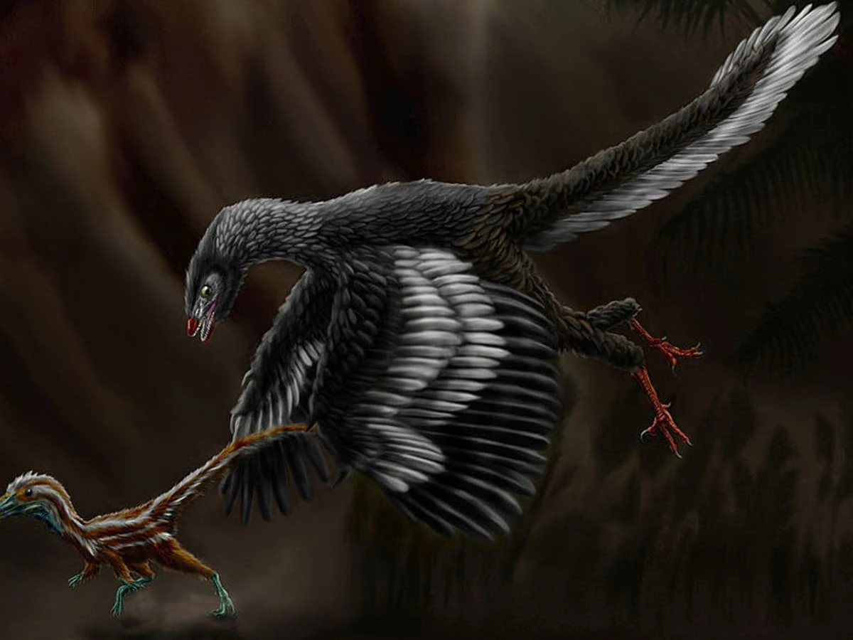 Birdzilla | Peabody's Jamming Adventures Wiki | Fandom