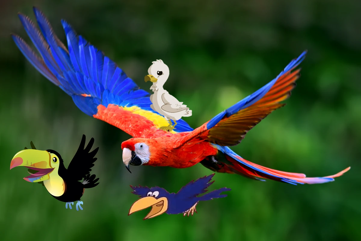 Zoboo | Peabody's Jamming Adventures Wiki | Fandom