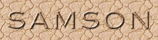 Samson | Peacekeepers Wiki | Fandom