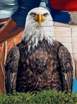 Eagly | Peacemaker Wiki | Fandom