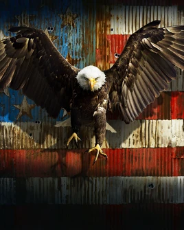 Eagly | Peacemaker Wiki | Fandom