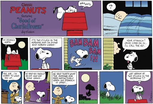 November 1974 comic strips | Peanuts Wiki | Fandom