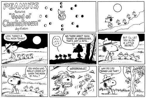 Snoopy's Beagle Scouts | Peanuts Wiki | Fandom