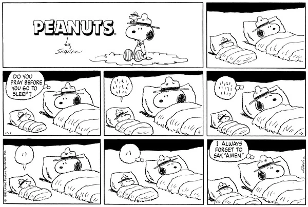 November 1992 comic strips | Peanuts Wiki | Fandom