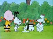 Snoopy's Getting Married, Charlie Brown | Peanuts Wiki | Fandom