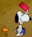 Snoopy, Come Home - Peanuts Wiki