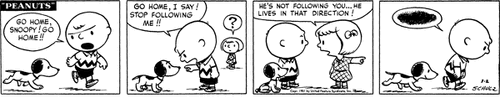 Snoopy | Peanuts Wiki | Fandom
