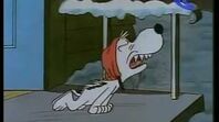 Snoopy/Gallery | Peanuts Wiki | Fandom