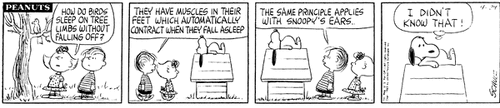 Snoopy's doghouse | Peanuts Wiki | Fandom
